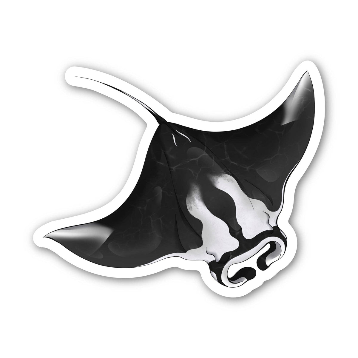 Big Moods - Manta Ray Sticker – Jon Henry General Store