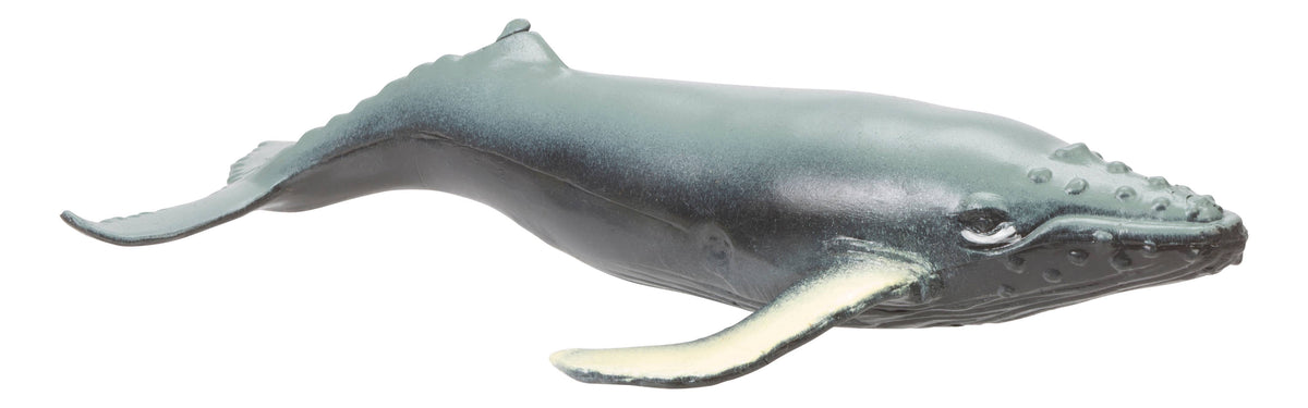 Toysmith - Ocean Squishimals, Sharks, Dolphins, Squishy Toy – Jon Henry ...